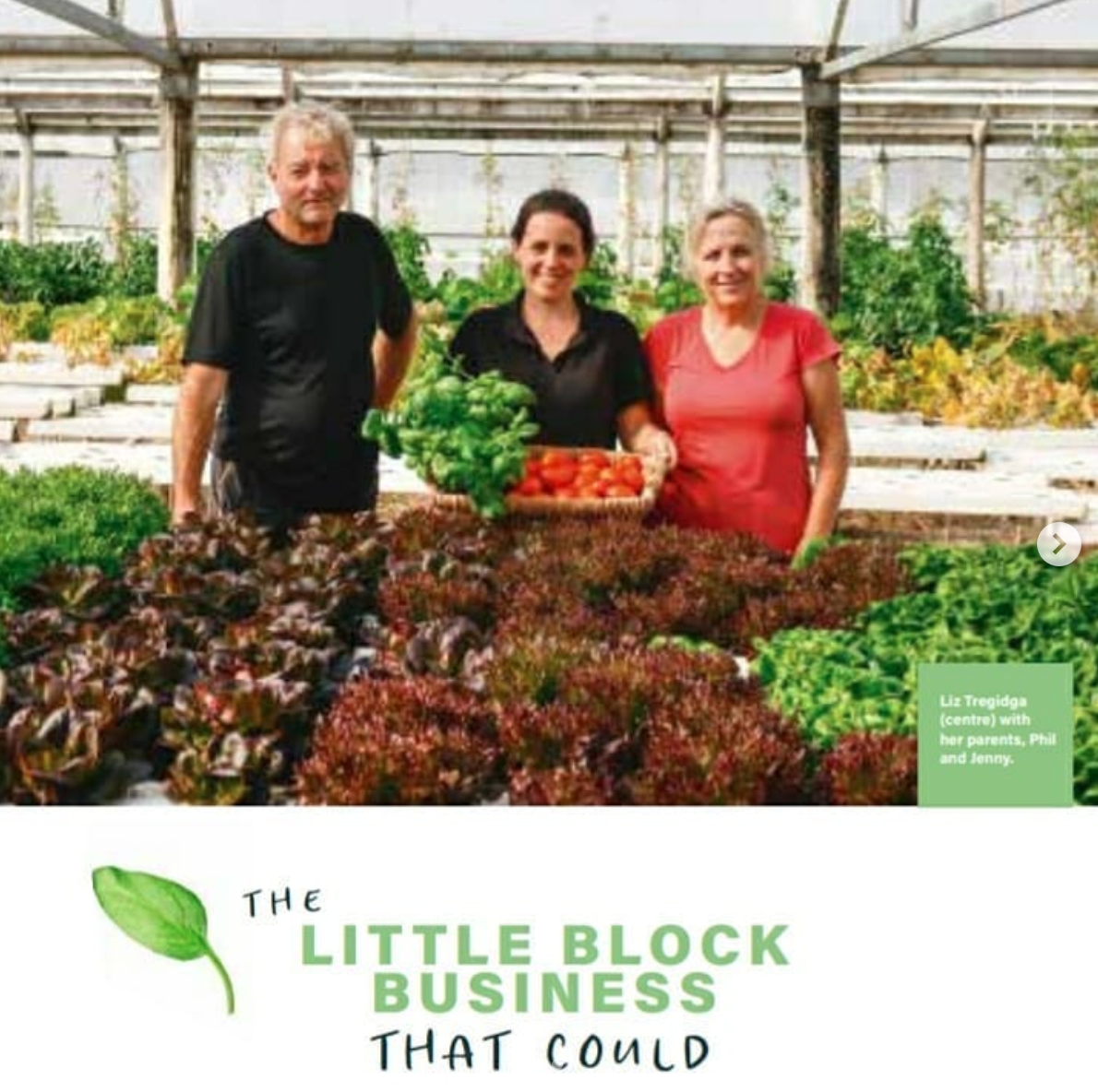 We are featured in the NZ Lifestyle Block magazine this month ...